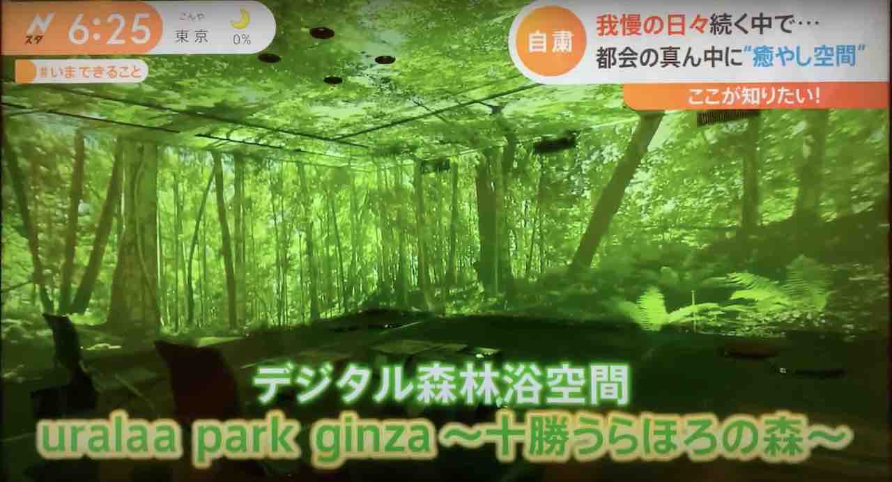 TBSで放送されている情報番組「Nスタ」の番組内でフォレストデジタルが紹介されました